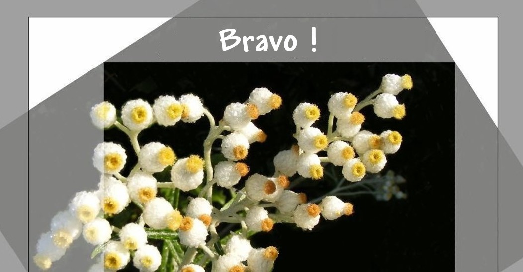 Steve Jolin, récompensé | Nouvelles | Journal Ensemble pour bâtir