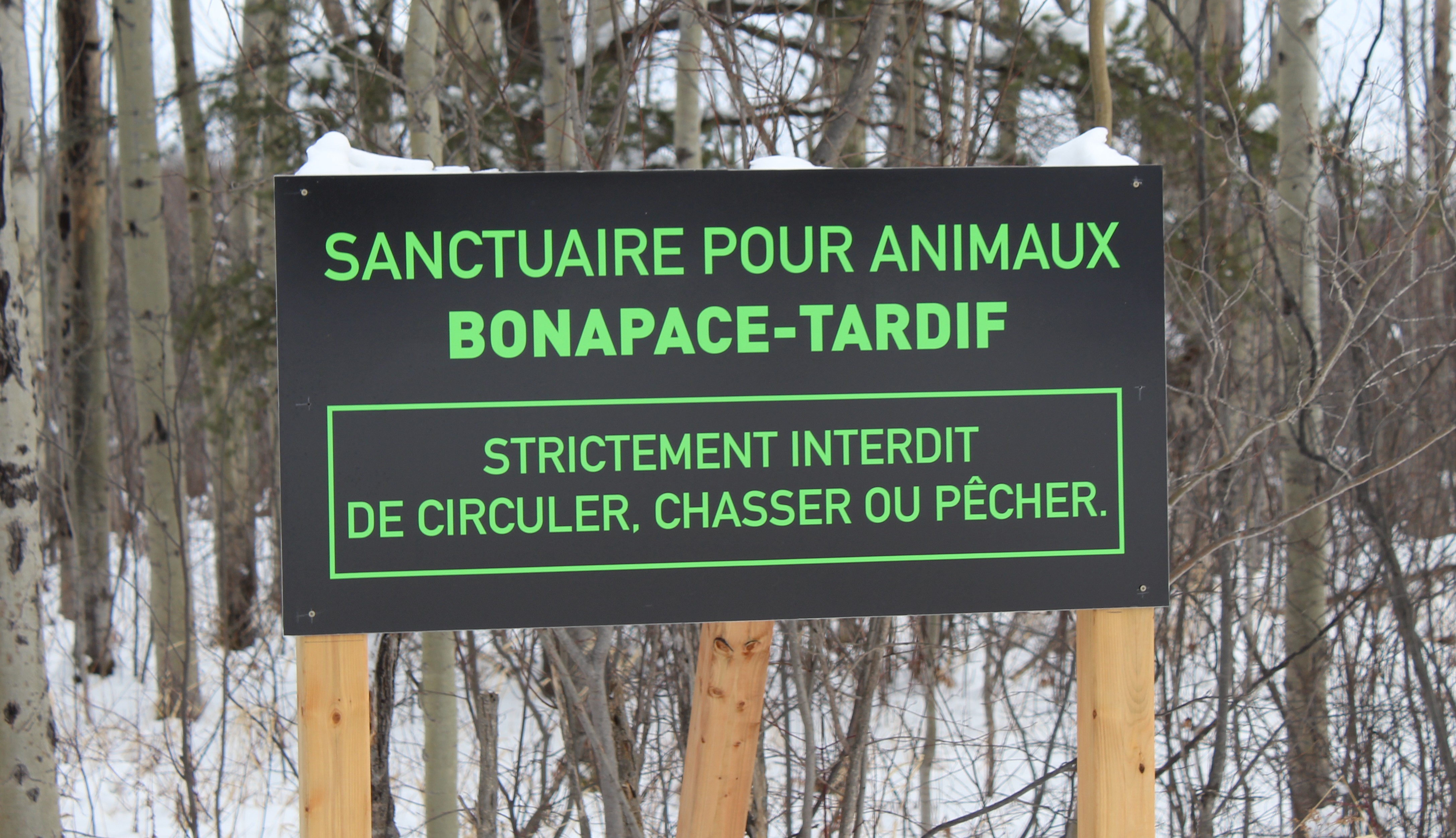 Sanctuaire pour animaux Bonapace-Tardif | Nouvelles | Journal Ensemble ...