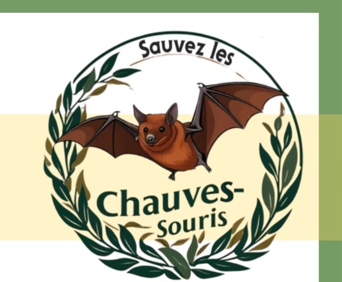 Sauvez les chauves-souris | Nouvelles | Journal Ensemble pour bâtir