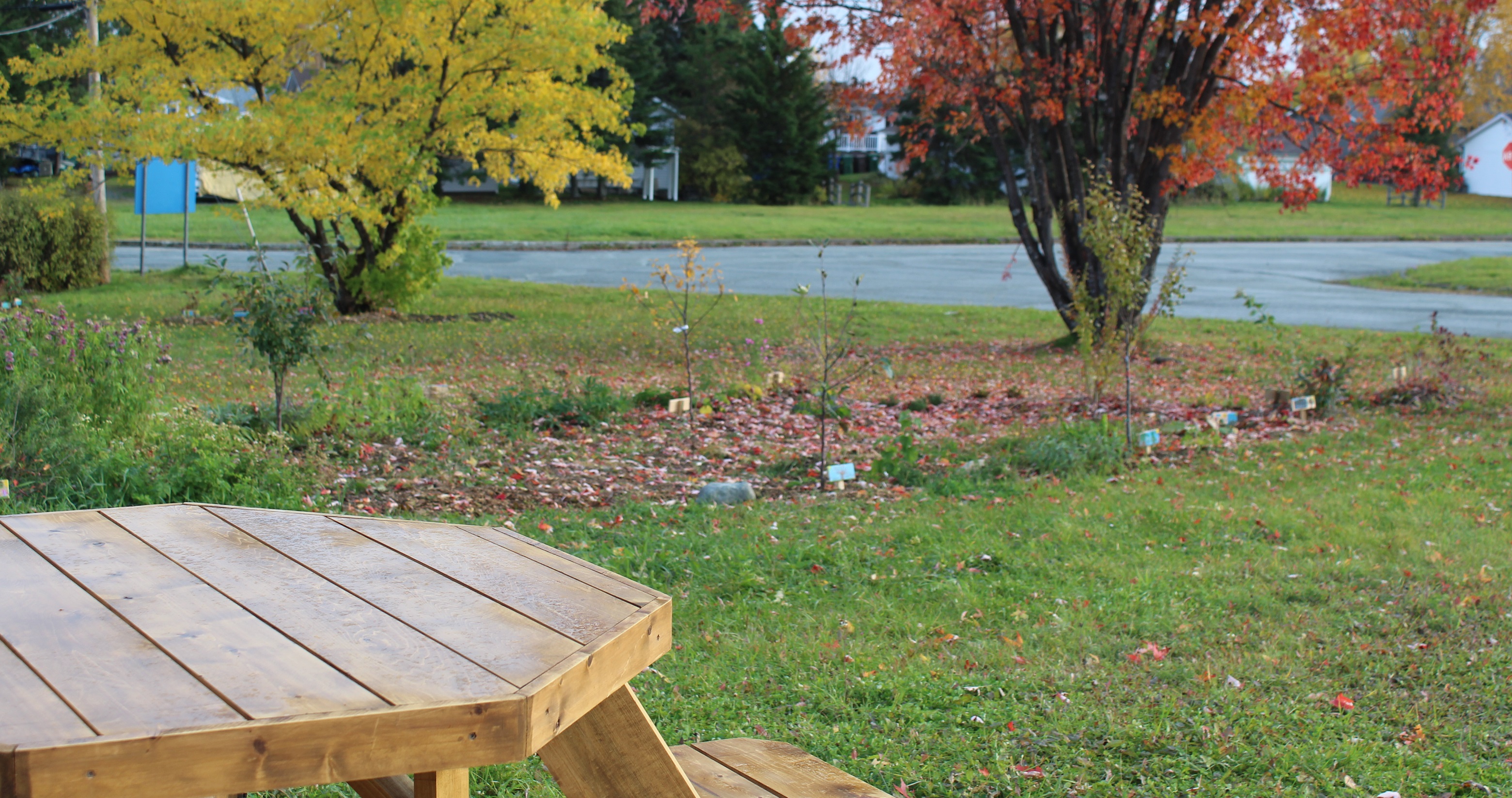 Partage de vivaces à la forêt nourricière d’Évain | Nouvelles | Journal ...