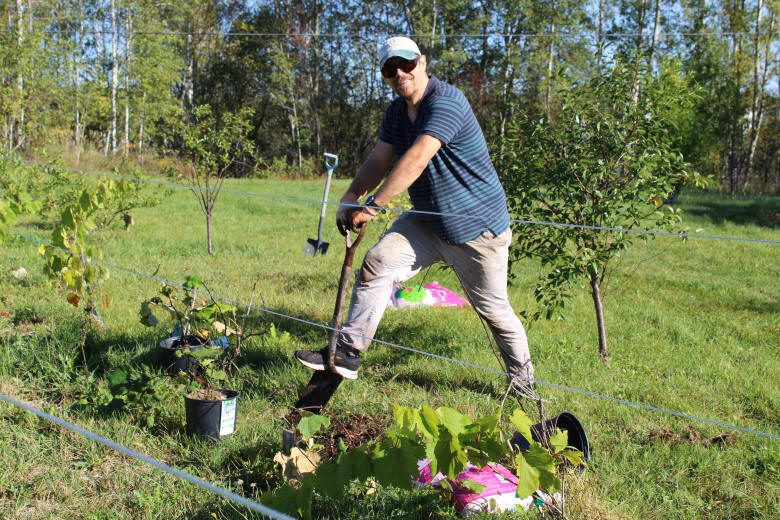 Travaux automnaux de la Forêt nourricière d'Évain | Nouvelles | Journal ...